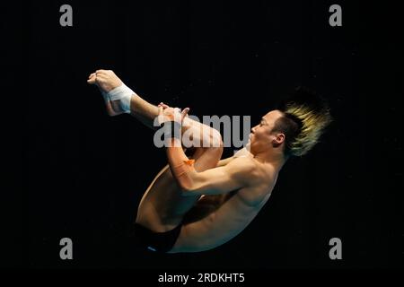 Bertrand Rhodict Anak Lises of Malaysia competes in the men's 10m ...