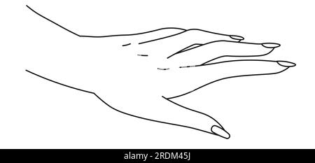 Hand design, female palm and manicured fingers Stock Vector Image & Art ...