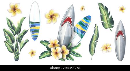 Surfboards with shark pattern and striped print in plumeria colors and ...