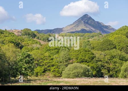 Cnicht mountain, Snowdonia "eryri" National Park, North Wales, UK Stock ...