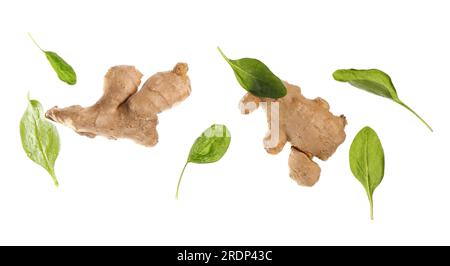 Flying ginger roots and basil leaves on white background Stock Photo ...