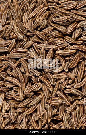 Caraway seeds spice from above bowl isolated on a white background ...