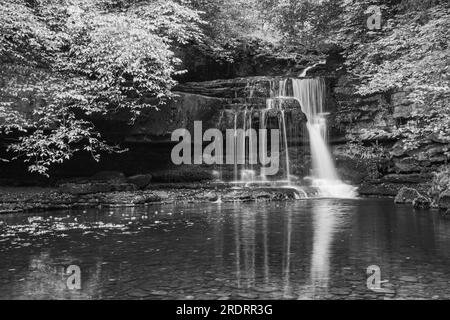 A monochrome shot of West Burton Waterfall also known as Cauldron Falls ...