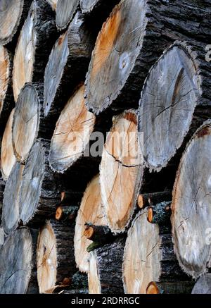 Firewood unsplit, wood store Stock Photo - Alamy