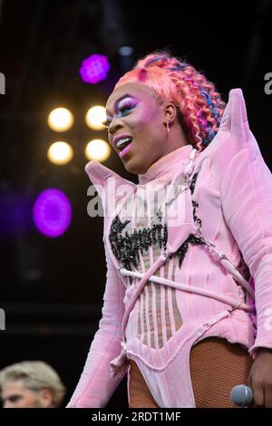 Todrick Hall is an American singer, choreographer, and YouTuber. He ...