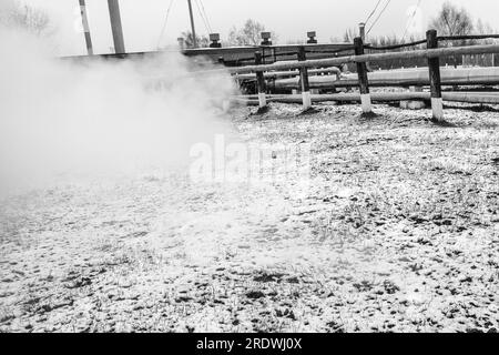 Pipe rack with pipes in superheated high-pressure steam at an oil ...