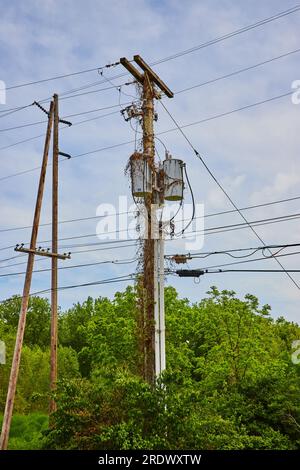 Power lines and shrubs are covered in ice during a winter storm Sunday ...