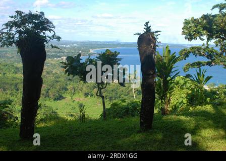 Tree Fern Sculptures, Vanuatu Sky Bridge, Devil's Point Rd, Port Vila ...