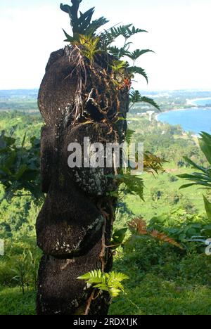 Tree Fern Sculptures, Vanuatu Sky Bridge, Devil's Point Rd, Port Vila ...
