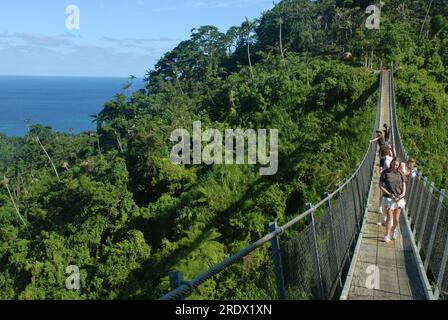 Tourists on the Vanuatu Sky Bridge, Devil's Point Rd, Port Vila ...