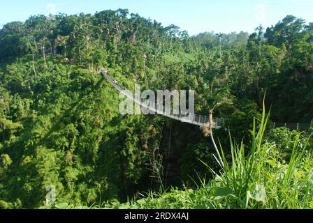 Tourists Vanuatu Sky Bridge, Devil's Point Rd, Port Vila, Vanuatu Stock ...
