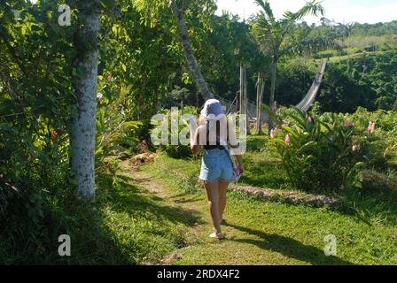 Platform of Vanuatu Sky Bridge, Devil's Point Rd, Port Vila, Vanuatu ...
