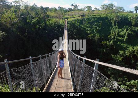 Tourist on Vanuatu Sky Bridge, Devil's Point Rd, Port Vila, Vanuatu ...