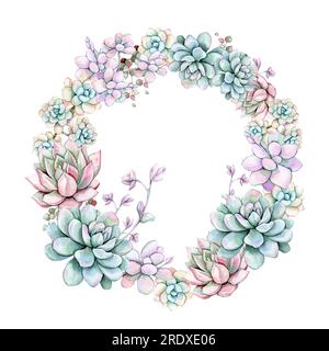 Watercolor illustration of succulent blue with pink. It's perfect for ...