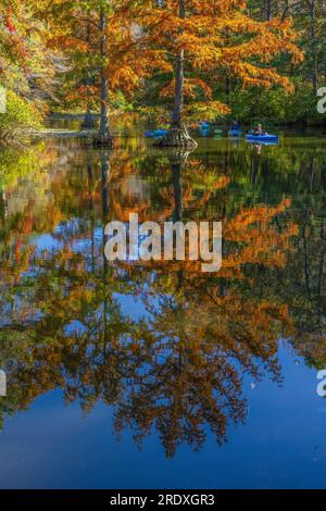 Kayakers in autumn, Trap Pond State Park, Delaware Stock Photo - Alamy