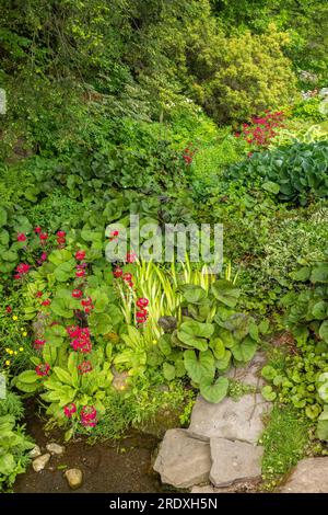Ithaca, Tompkins, New York, United States, Bombus sp., Animalia ...
