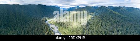 Hoh Rainforest is located on the Olympic Peninsula in the Pacific ...