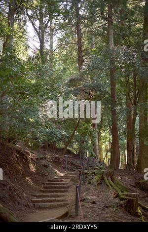 Mountain Path in Mt. Kurama, Kyoto Prefecture, Japan Stock Photo - Alamy