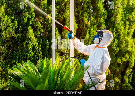 Exterminator spraying insecticide on plants in garden Stock Photo - Alamy
