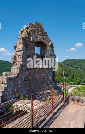 Panoramic plateau of ruins of Fleckenstein Castle with view of Vosges ...