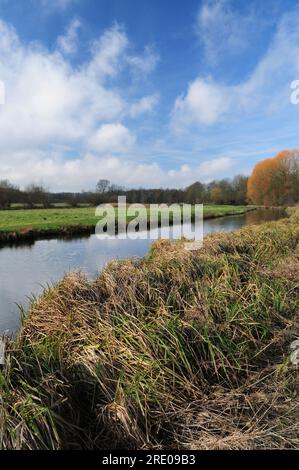 The river Kennet near Axford, Wiltshire Stock Photo - Alamy