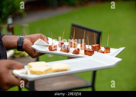 A waiter serving canapes at a Wedding reception Stock Photo - Alamy