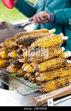 Romanian street food stall with chargrilled corn on the cop (porumb ...