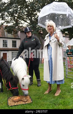 Queen Camilla helps present two Shetland ponies with an edible cake during a visit to Redwings ...