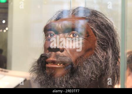 A photo of the head of an earlier form of humans in the process of ...