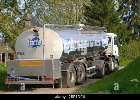 Milk collection, Lactel tank truck, Lactalis Group, in Normandy. Milk ...