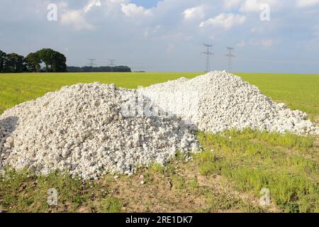 Agriculture: marl limestone soil enriching agent on a field. Addition ...