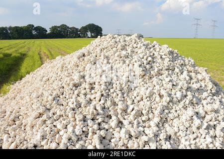 Agriculture: marl limestone soil enriching agent on a field. Addition ...