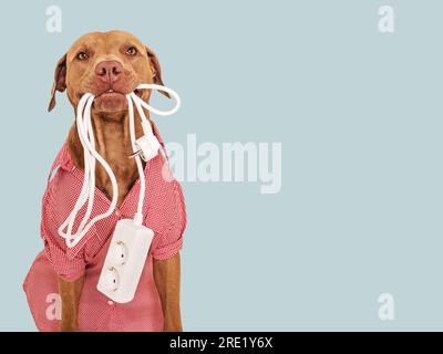 Lovable, pretty brown puppy and extension cord Stock Photo - Alamy