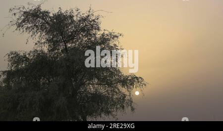 Sand Patterns in Dubai, UAE Stock Photo - Alamy