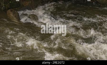 mountain stream swollen by heavy rains Stock Photo - Alamy
