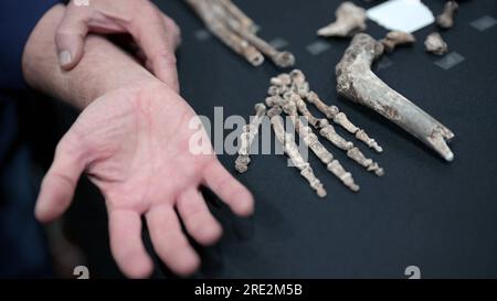 UNKNOWN: CAVE OF BONES, 2023. © Netflix /Courtesy Everett Collection ...