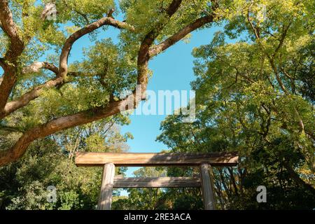 Atsuta Shrine Torii gate with green forest in Nagoya, Japan Stock Photo ...
