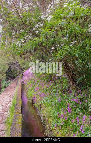 Irrigation canal in Rabacal, hiking trail, nature reserve, Levada das ...