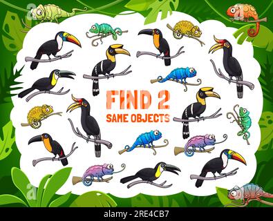 Find two same birds. Forest black and white matching activity or ...