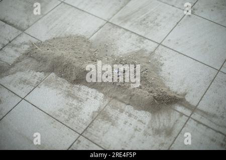 Dust on tiles. Sand cleaning. Swept away garbage. Floor cleaning Stock ...