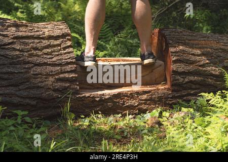 copy space image of hiker stepping over fallen tree with a cut out ...
