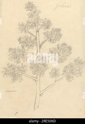 Gibara by Luigi Balugani Stock Photo - Alamy