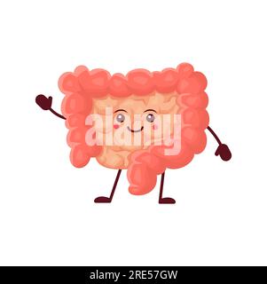 Cute character of intestine, bowel, human internal organ of digestive ...
