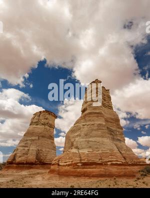 The "Elephant Feet" rock formation outside Tonalea, Arizona Stock Photo ...