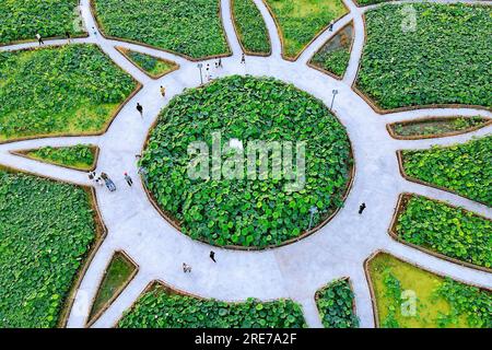Rugao, China. 26th July, 2023. RUGAO, CHINA - JULY 25, 2023 - Tourists ...