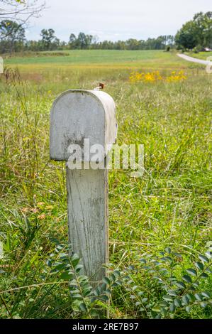 Waiting for mail at the the Mailbox Stock Photo - Alamy