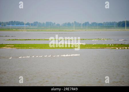 BAICHENG, CHINA - JULY 26, 2023 - A drone aerial photo shows a flooded ...