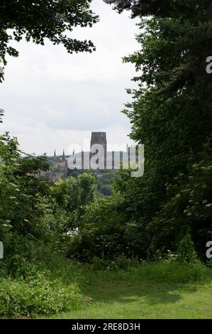 Durham viewed from the hillside through the trees Stock Photo - Alamy