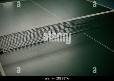 Grid above table. Table tennis table. Net in tennis. Ping Pong Game ...