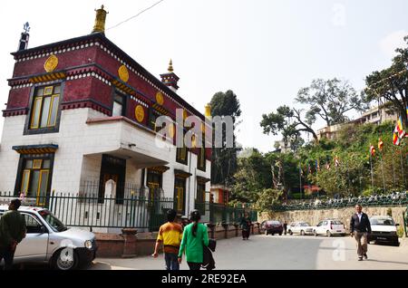 Local life lifestyle of nepali with foreign travelers and nepalese ...